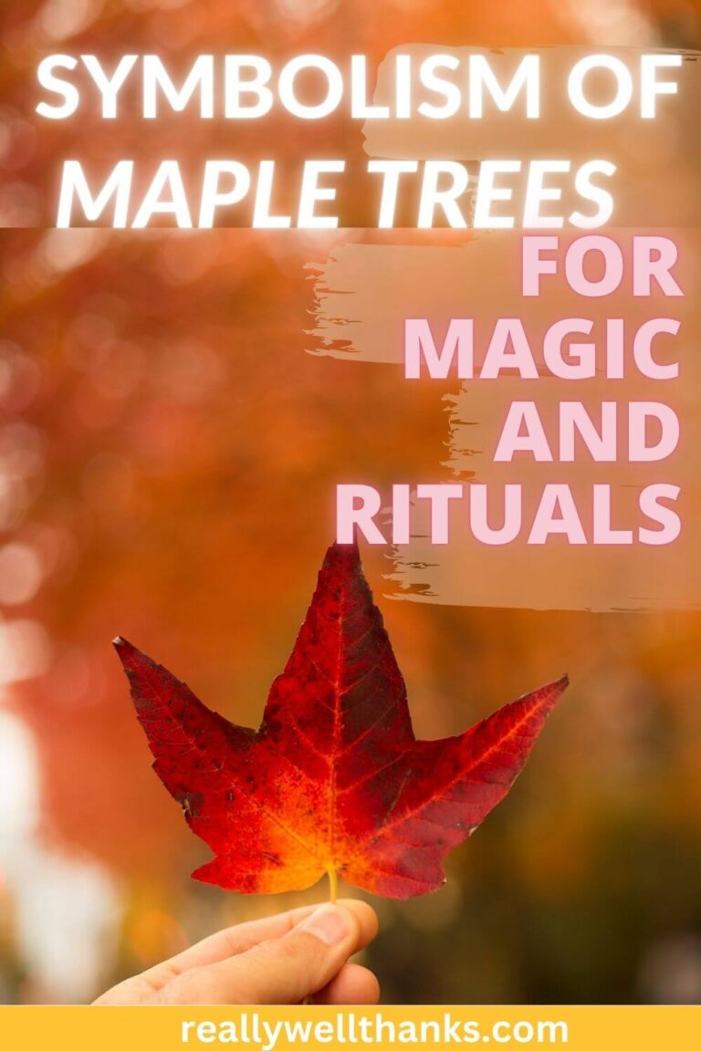 Symbolism of Maple Tree: Cultural + Magical Significance - really well ...